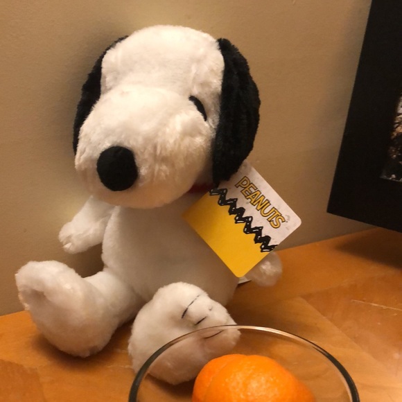 Peanuts | Toys | New Peanuts Snoopy Stuffed Animal | Poshmark